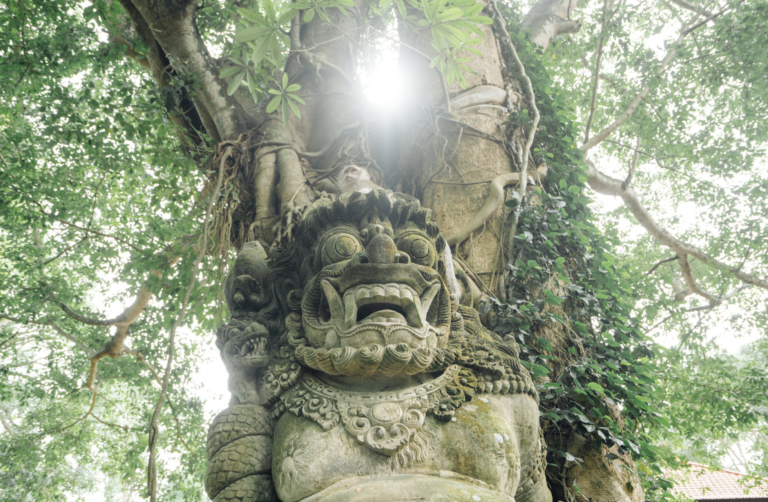 Mythical Creatures for Beginners - Expert Psychics